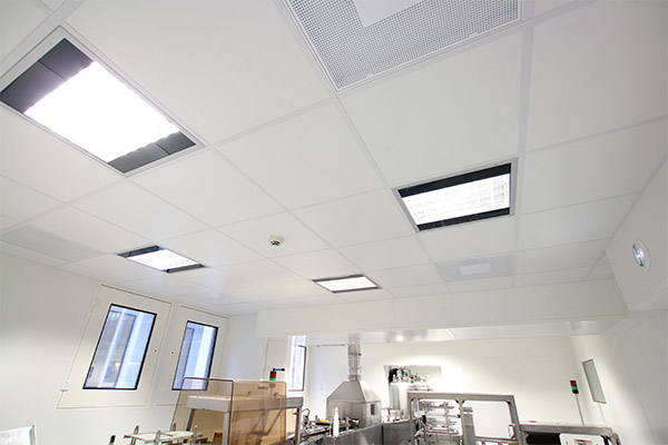 Ceilings Plus | Shelly Lighting